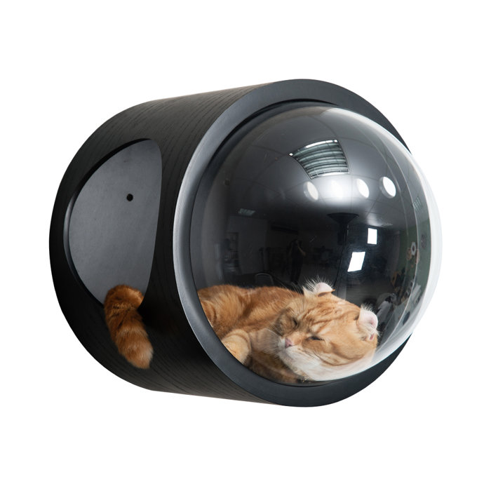 Tucker Murphy Pet™ Eisine Cat Perch | Wayfair